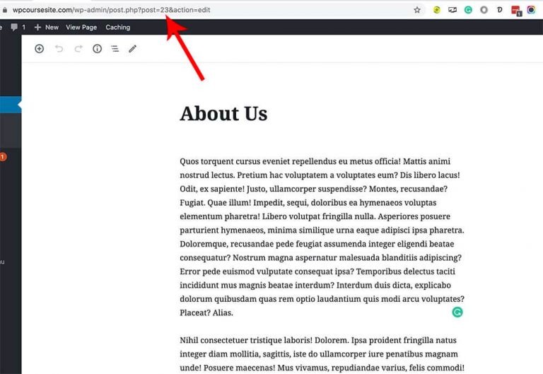 How to Get and Find WordPress Page and Post ID - PluginsForWP