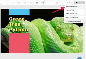 WordPress Featured Image - the Ultimate Guide - PluginsForWP