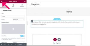 How To Remove Page Title With Elementor - PluginsForWP