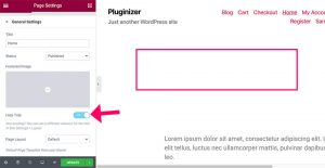 How To Remove Page Title With Elementor - PluginsForWP