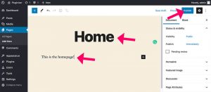 How to Set a Homepage in Wordpress in Two Different Ways - PluginsForWP