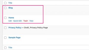 How to Set a Homepage in Wordpress in Two Different Ways - PluginsForWP