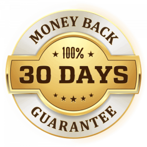 SeedProd Pro - PluginsForWP