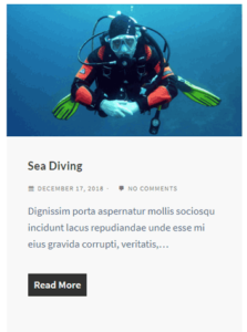 How to Change the 'Read More' Button Text in WordPress - PluginsForWP