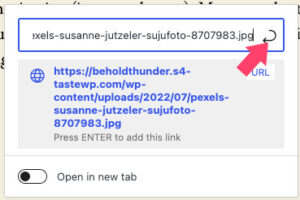 How to Add Downloadable Files Anywhere on Your WordPress Website (3 ...