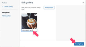 How to Add Text Over an Image in Elementor in Four Different Ways - PluginsForWP