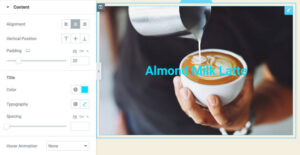 How to Add Text Over an Image in Elementor in Four Different Ways - PluginsForWP