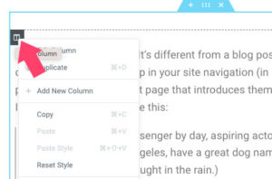 How to Add Columns in Elementor: A Step-by-Step Guide - PluginsForWP