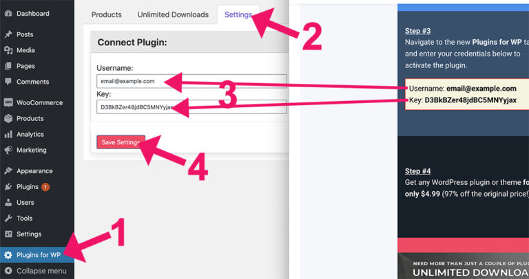 How to Install and Activate the Plugin Manager - PluginsForWP