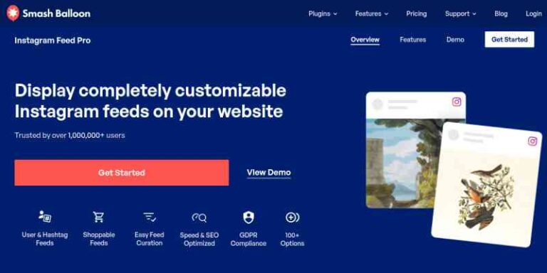 Instagram Feed Pro Developer - PluginsForWP