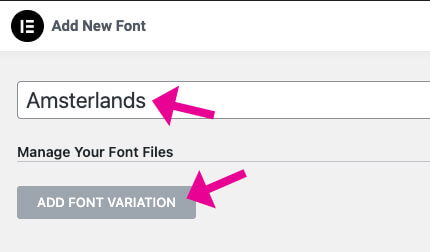 How to Add Custom Fonts to WordPress with Elementor - PluginsForWP