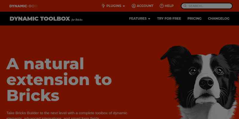 Dynamic.ooo - Dynamic Toolbox for Bricks - PluginsForWP