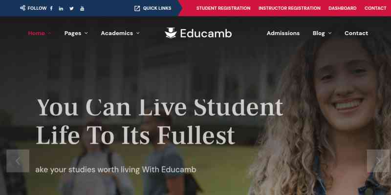 FacetWP - PluginsForWP