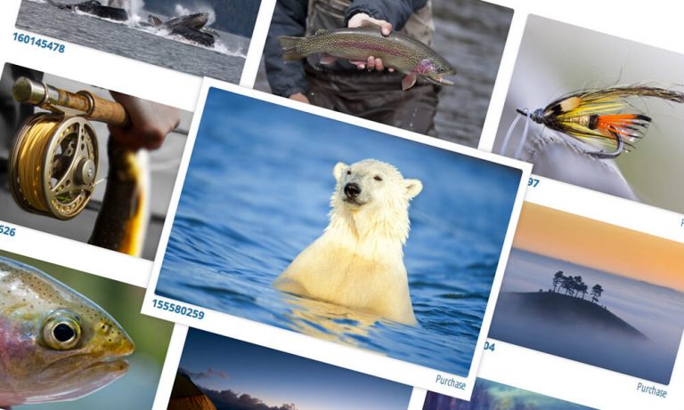 Sell Media - PluginsForWP