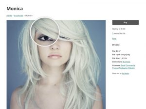 Sell Media Magnifier - PluginsForWP