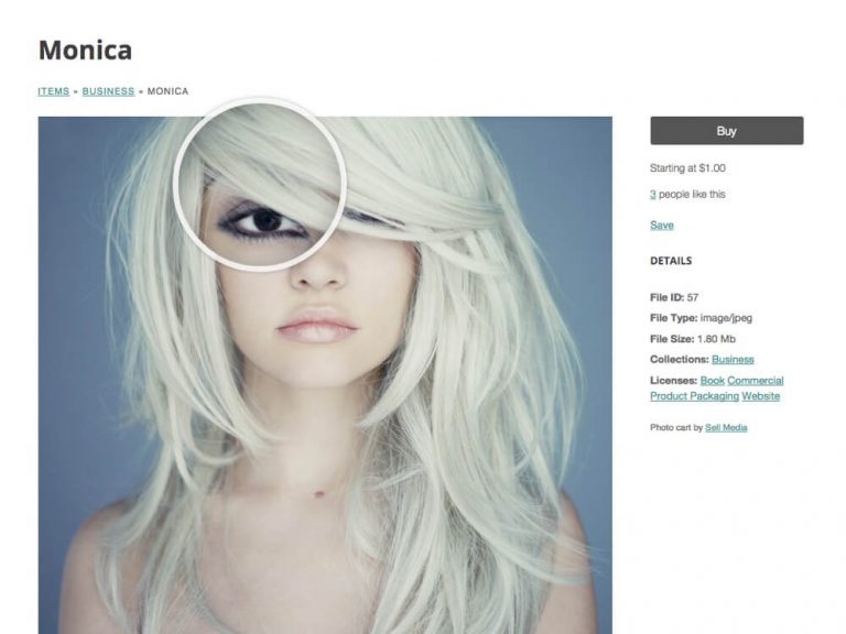 Sell Media Magnifier - PluginsForWP