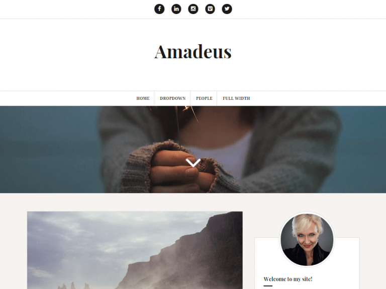 Amadeus Pro - PluginsForWP