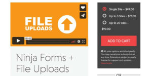 Ninja Forms - File Uploads - PluginsForWP